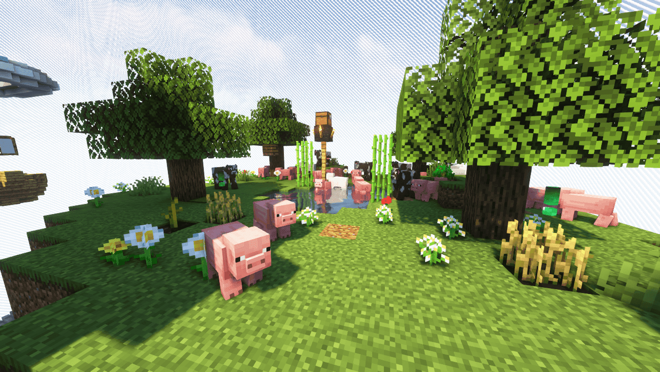 Border Survival 2 - Minecraft Map