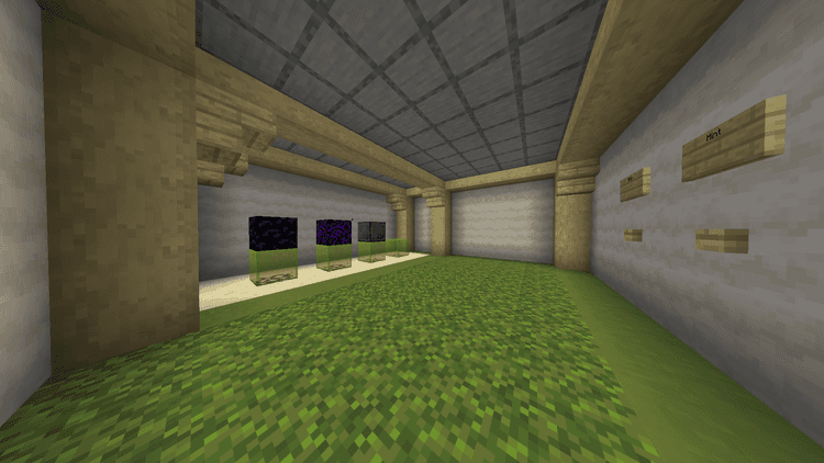 What "DOES" Belong - Minecraft Map